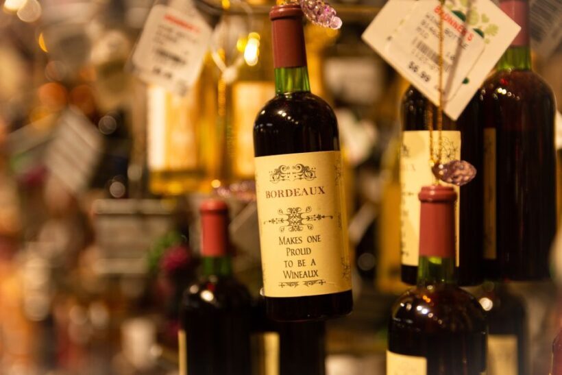 From San Sebastián: Bordeaux & Winery Private Guided Tour - Final Thoughts: Who Is This Tour Best For?