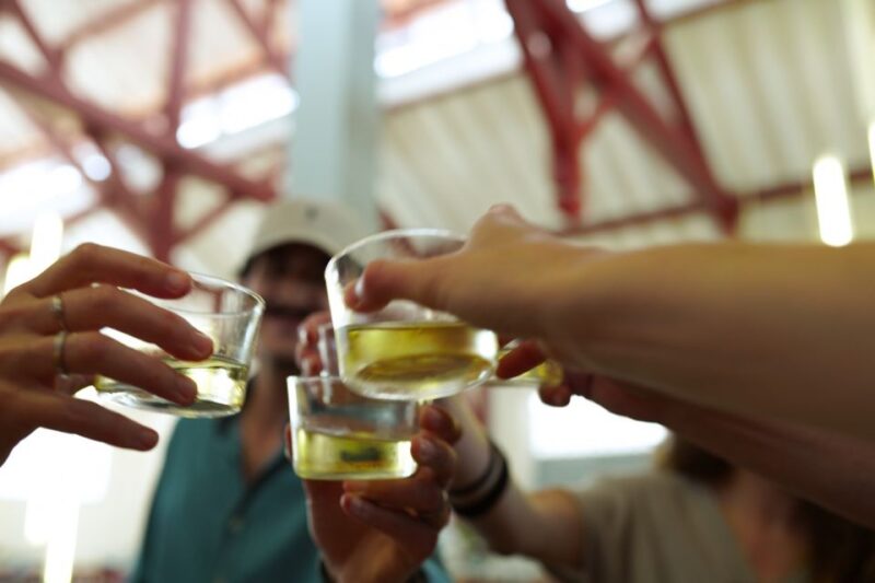 From San Sebastian: Flavors of French Basque Country Tour - Who Will Love This Tour?