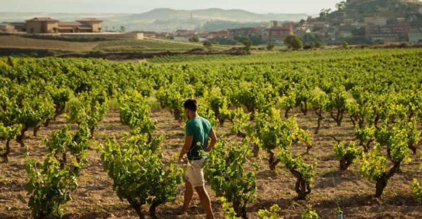 From San Sebastián: La Rioja Wine Region Day Tour - Frequently Asked Questions