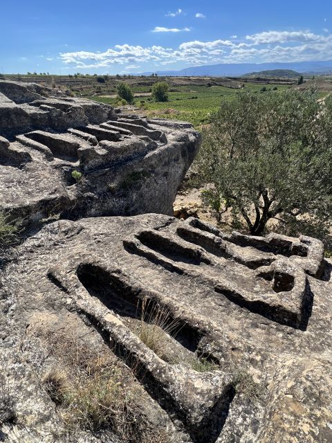 From San Sebastian: Rioja Private Day Trip with Wine Tasting - A Deep Dive into the Rioja Day Trip Experience