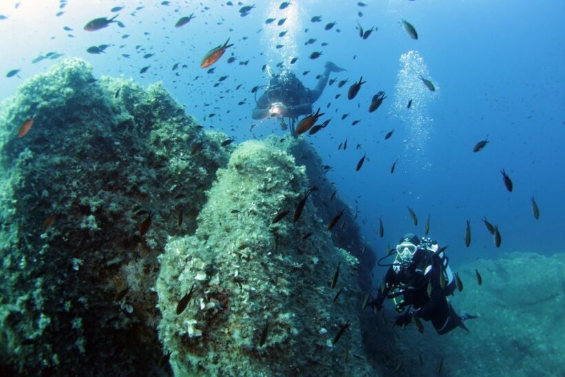 From San Teodoro: diving for experts in Tavolara and Molara - Introduction: Why This Tour Stands Out