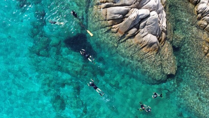 From San Teodoro: snorkeling in Tavolara and Molara - Authentic Marine Encounters and Scenic Views
