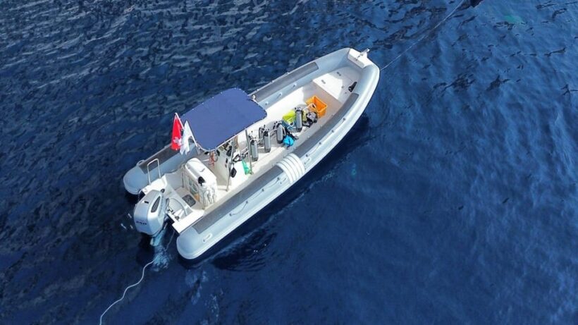 From San Teodoro: snorkeling in Tavolara and Molara - Final Thoughts: Is It Worth It?
