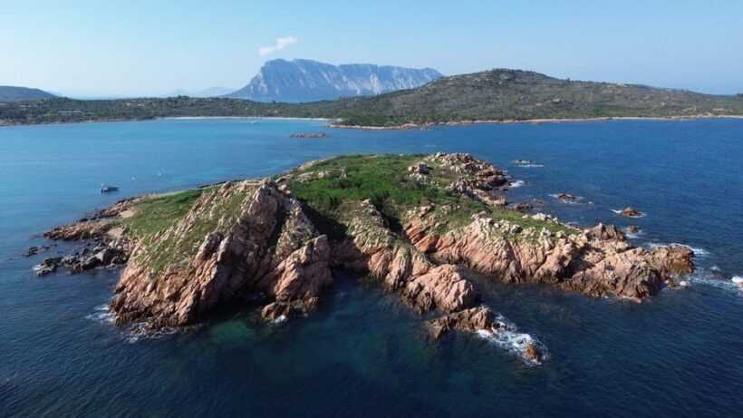 From San Teodoro: snorkeling in Tavolara and Molara - The Sum Up: A Genuine Sardinian Marine Experience