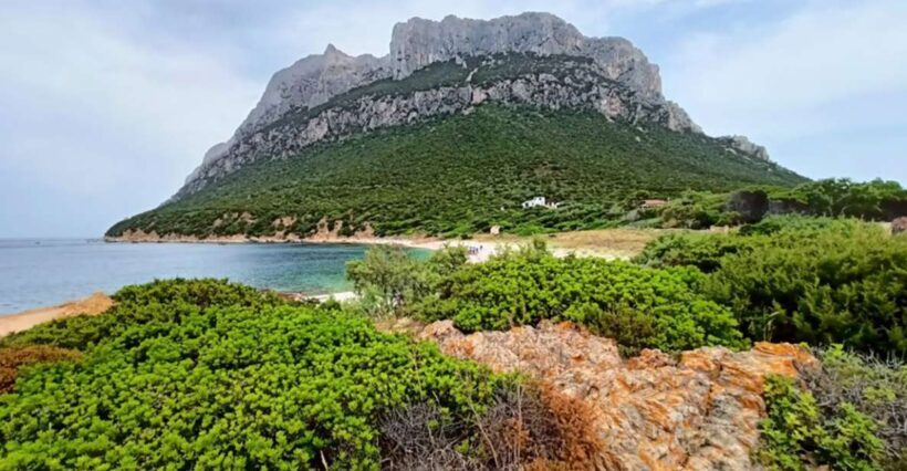 From San Teodoro: Tavolara Archipelago Mini Tour - Who Will Love This Tour?