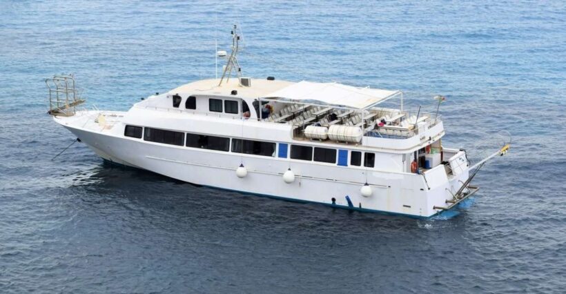 From San Vito: Boat Excursion to Favignana and Levanzo - What to Expect on the Tour