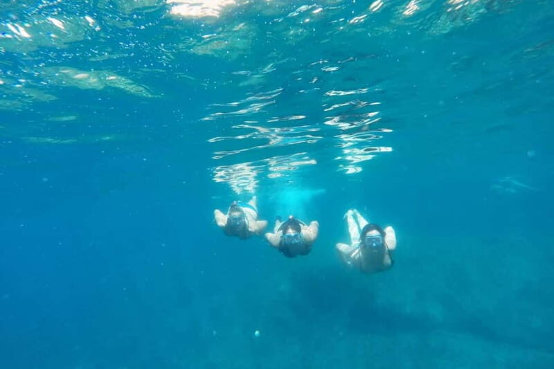 From Sant Feliu de Guíxols: Kayak and Snorkel in Costa Brava - Final Thoughts: Who Will Love This Tour?
