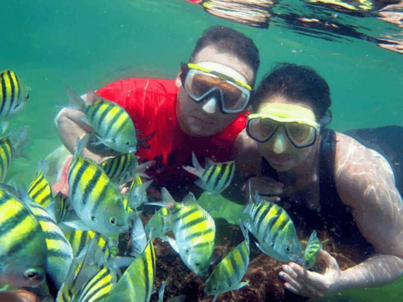 From Santa Marta: Sisiguaca Beach Hike with Snorkeling - A Detailed Look at the Tour Experience