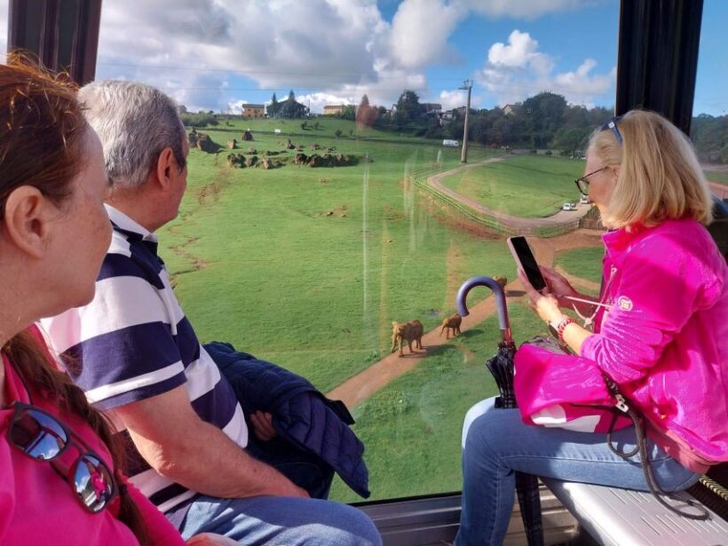 From Santander: Cabarceno Natural Park Half-Day Trip - The Unique Environment and Animal Encounters