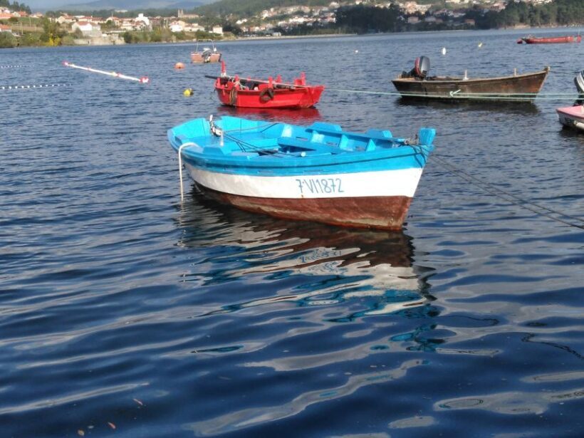 From Santiago de Compostela: Rias Baixas Tour - Practical Tips for Travelers
