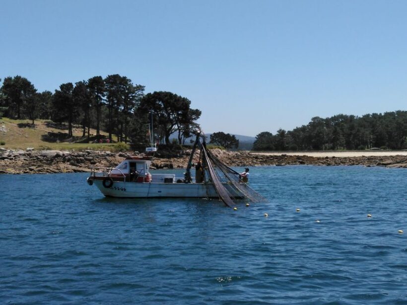 From Santiago de Compostela: Rias Baixas Tour - Summary: Who Should Consider This Tour?