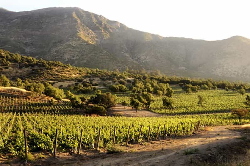 From Santiago: Maipo Valley Wine Tour - The Sum Up