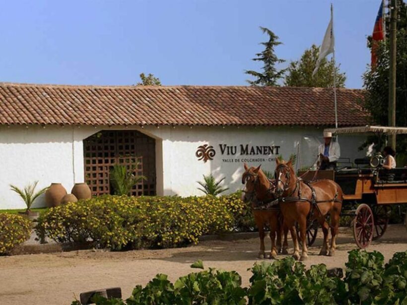 From Santiago: Private Colchagua Valley Wine Tour w/ Tasting - Authentic Experiences & Why They Matter