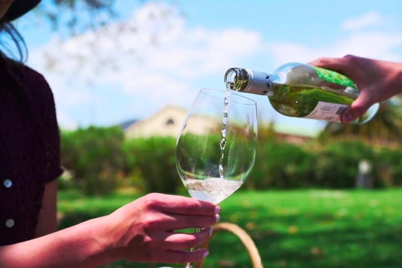 From Santiago: Vineyard, Valparaíso, and Viña del Mar Tour - A Closer Look at the Itinerary