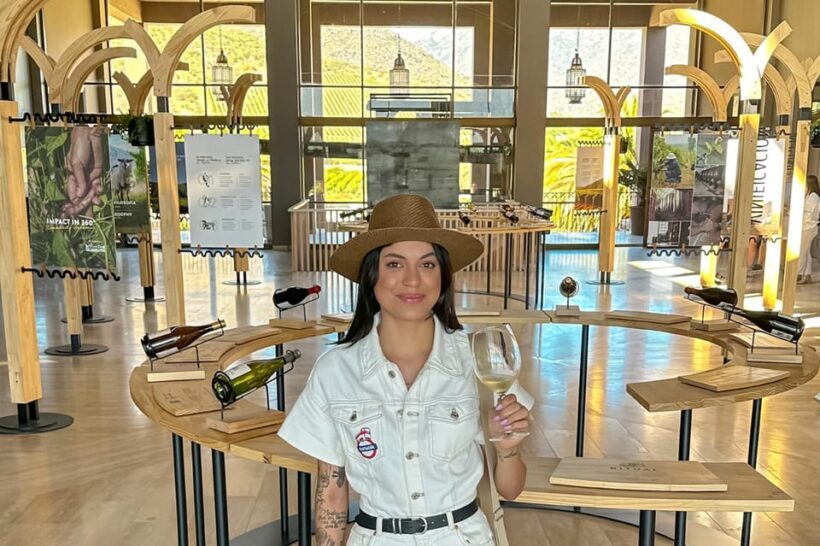 From Santiago: Vineyard, Valparaíso, and Viña del Mar Tour - Analyzing Value and Cost