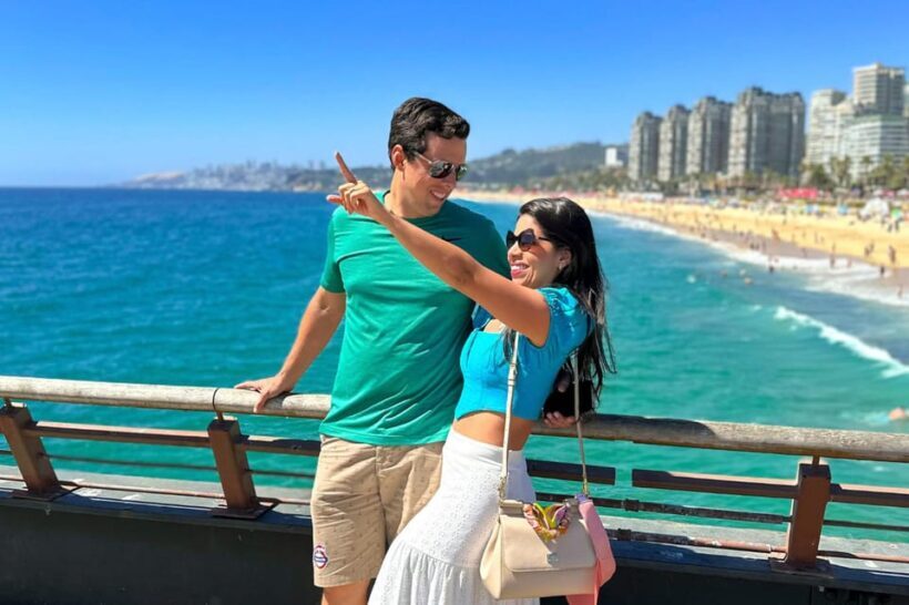 From Santiago: Vineyard, Valparaíso, and Viña del Mar Tour - Who Should Consider This Tour?