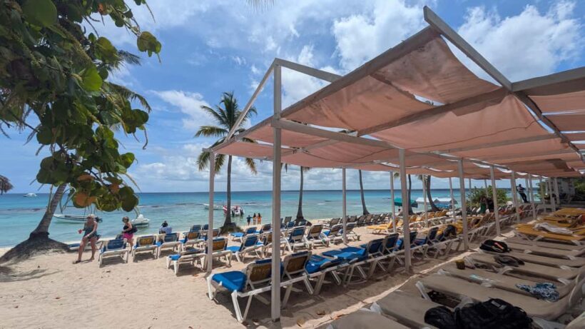 From Santo Domingo: Catalina Island Day Tour - An In-Depth Look at the Tour Experience