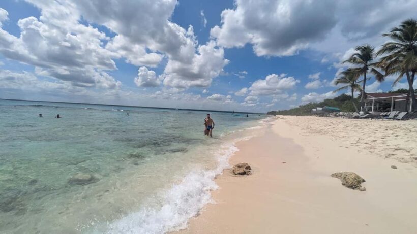 From Santo Domingo: Catalina Island Day Tour - Authentic Experiences and Common Feedback