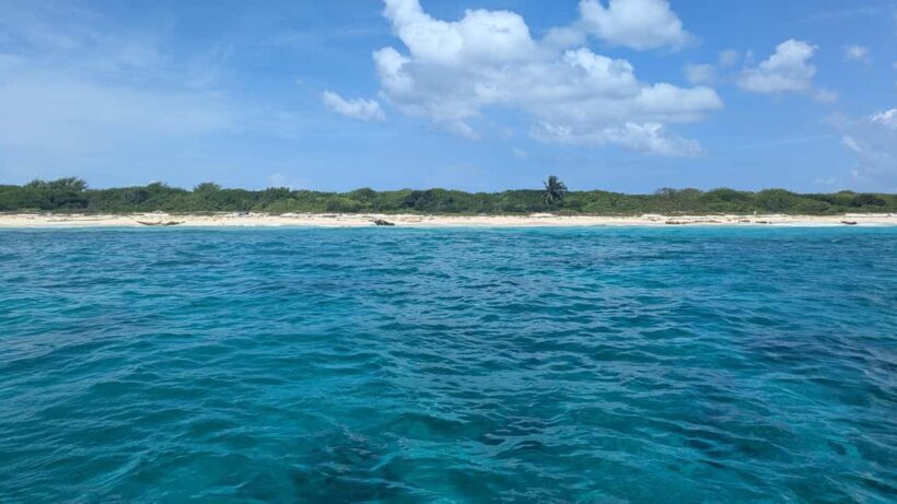 From Santo Domingo: Catalina Island Day Tour - FAQ