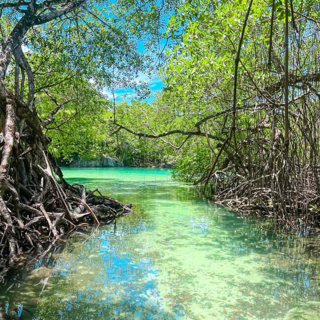 From Santo Domingo: Enjoy the Magical Places of Rio San Juan - The Sum Up