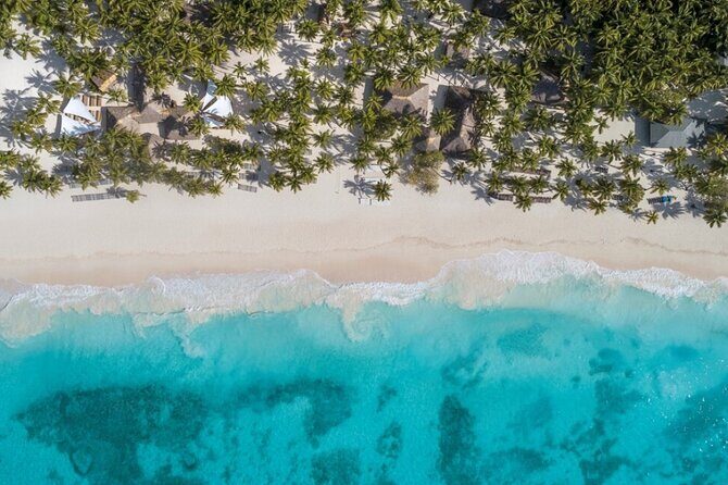 From Santo Domingo Saona Island Food And Drink Catamaran Vip - Food, Drinks, and Amenities