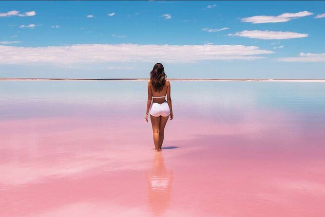 From Santo Domingo Saona Island Food And Drink Catamaran Vip - Who Will Love This Tour?