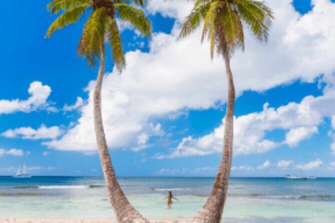 From Santo Domingo Saona Island Food And Drink Catamaran Vip - FAQ