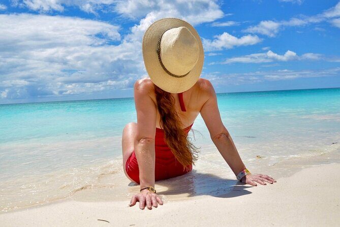 From Santo Domingo: Saona Island For Small Group Catamaran - Key Points