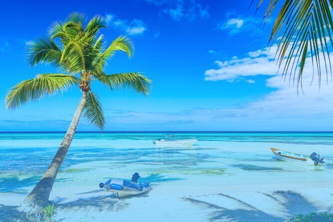 From Santo Domingo: Saona Island For Small Group Catamaran - The Value Proposition