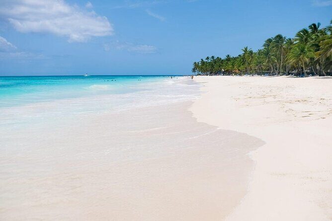 From Santo Domingo: Saona Island For Small Group Catamaran - Final Thoughts