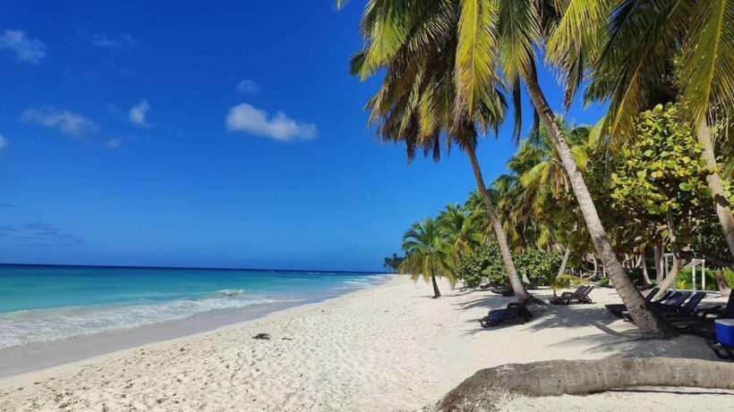 From Santo Domingo: Saona Island Tour with Lunch & Drinks - Key Points