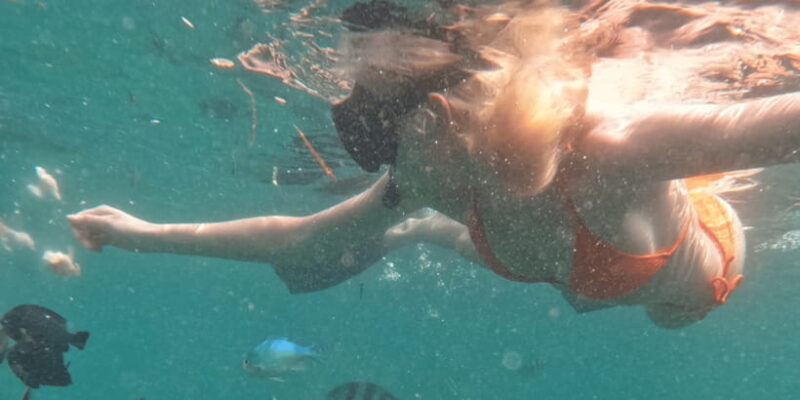 From Sanur : Snorkeling and Land Excursion at Nusa Penida - The Land Exploration: Iconic Views and Natural Wonders