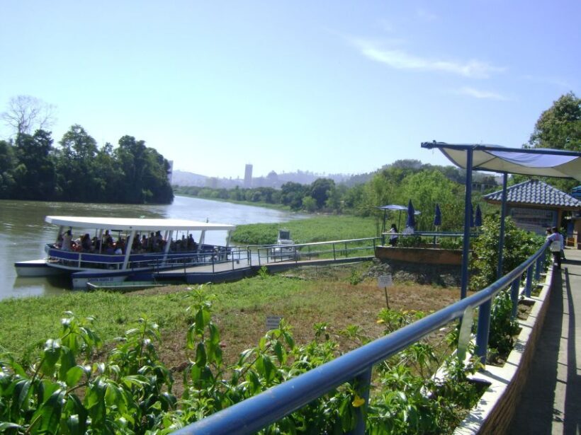 From São Paulo: Aparecida Cathedral Tour - Introduction: A Spiritual and Cultural Journey from São Paulo