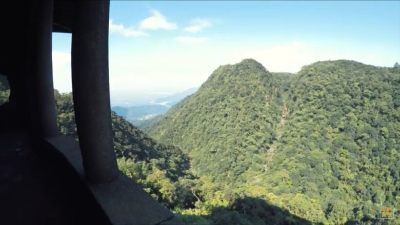 From São Paulo: Private Tour of Atlantic Forest & Valleys - The 9-Kilometer Trail: Walking Through the Ecosystem