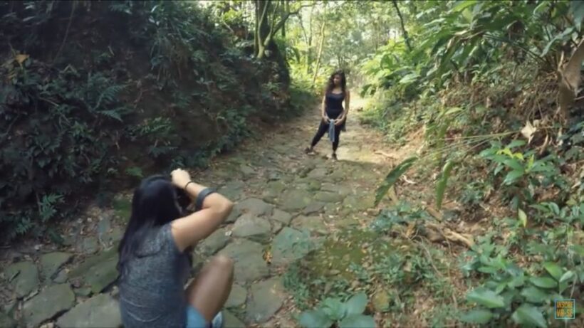 From São Paulo: Private Tour of Atlantic Forest & Valleys - Practical Details & What’s Included