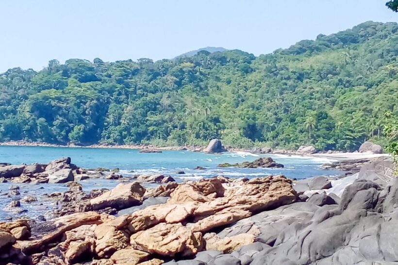 From São Paulo: Santo Amaro Island & Wild Beaches Day Trip - Frequently Asked Questions