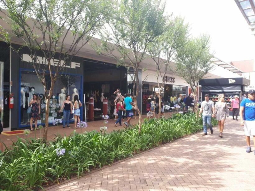 From São Paulo: São Roque Wineries Route and Shopping Tour - An In-Depth Look at the Tour Experience