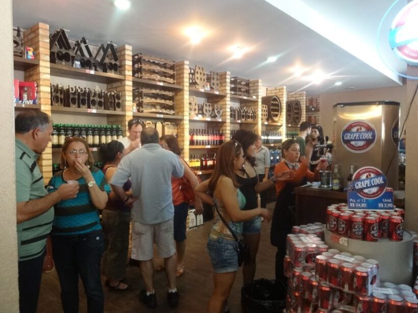 From São Paulo: São Roque Wineries Route and Shopping Tour - Final Thoughts: Is This Tour Right for You?