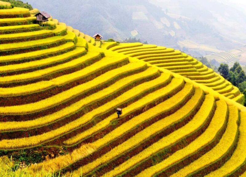 From Sapa : 1 Day Amazing Sapa Trek To Terrace rice field - Final Thoughts