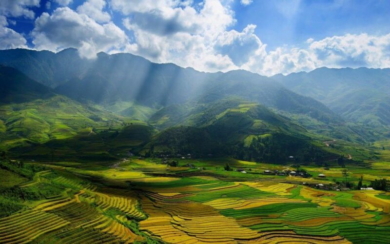 From Sapa : 1 Day Amazing Sapa Trek To Terrace rice field - FAQ