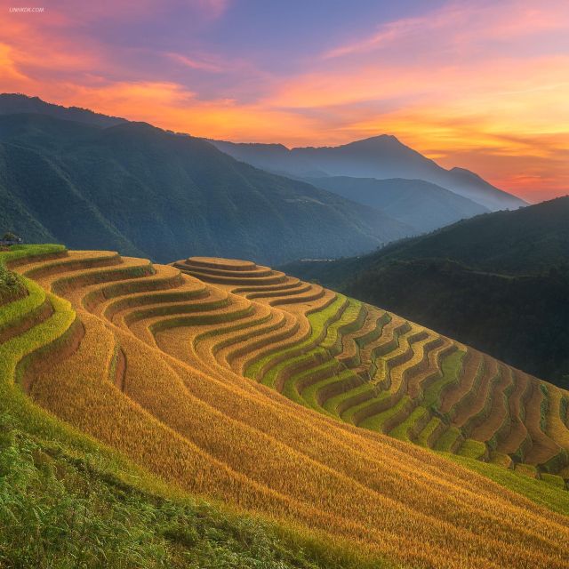 From Sapa: 1-Day Guided Trek to Lao Chai & Ta Van with Lunch - Practical Details and Value