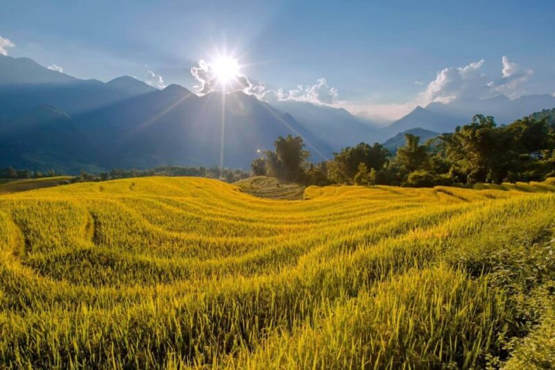 From Sapa: 1-Day Guided Trek to Lao Chai & Ta Van with Lunch - FAQ