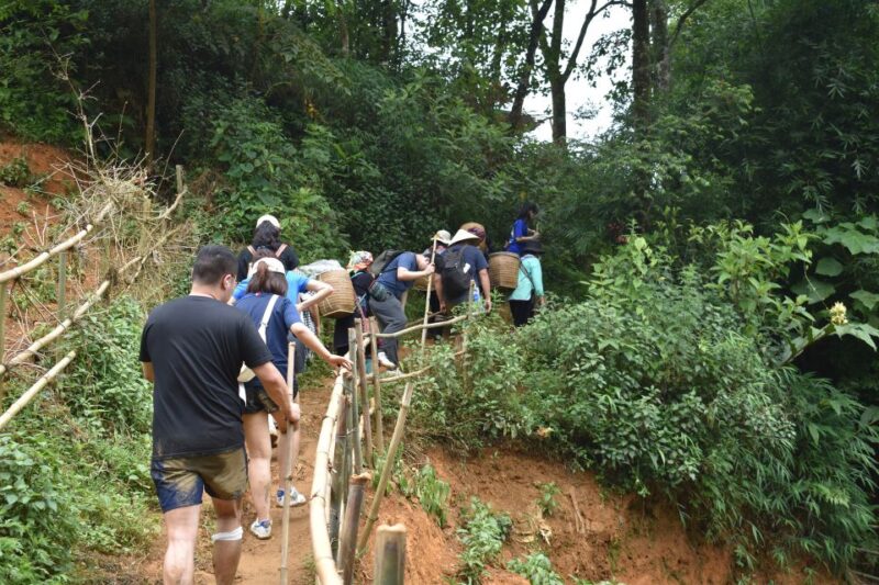 From Sapa: 1-Day Trekking through Terraces Rice Fields - The Guide and Cultural Insights