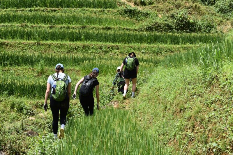From Sapa: 1-Day Trekking through Terraces Rice Fields - The Food and Hospitality