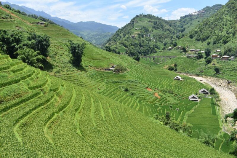 From Sapa: 1-Day Trekking through Terraces Rice Fields - FAQs