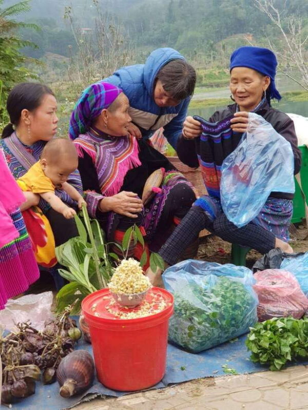 From Sapa: 1D Local Bac Ha Sunday Market Tour - Best seller - Practical Details and Considerations