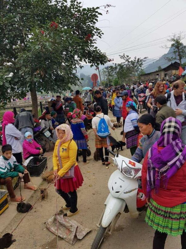 From Sapa: 1D Local Bac Ha Sunday Market Tour - Best seller - A Final Word on Value and Experience
