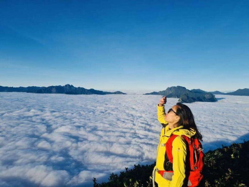 From Sapa: 2-Day Fansipan Peak Trekking Tour - From Sapa: 2-Day Fansipan Peak Trekking Tour — An Adventure for the Brave and Curious