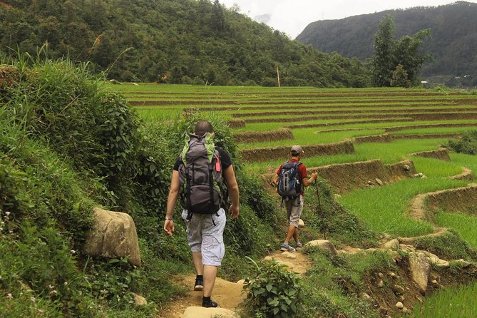 From Sapa: 2-Day Homestay trekking Tour - Authentic Experiences Highlighted by Travelers
