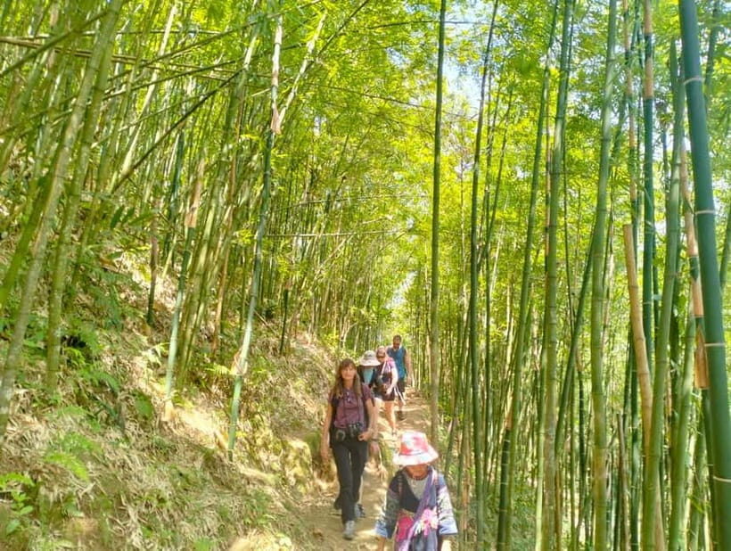 From Sapa 2-Day Sapa Trekking Trip with Homestay & Meals - Discover the Charm of Sapa: A Practical Guide to the 2-Day Trekking and Homestay Experience